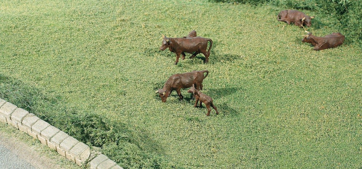 Comment faire l'herbe d'une prairie ou d'un talus ? - Rail Miniature ...